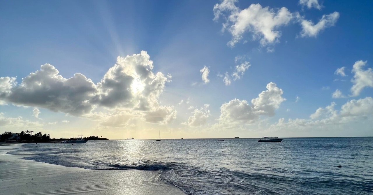 生きていると生かされているの違い｜Yusei Sakamoto