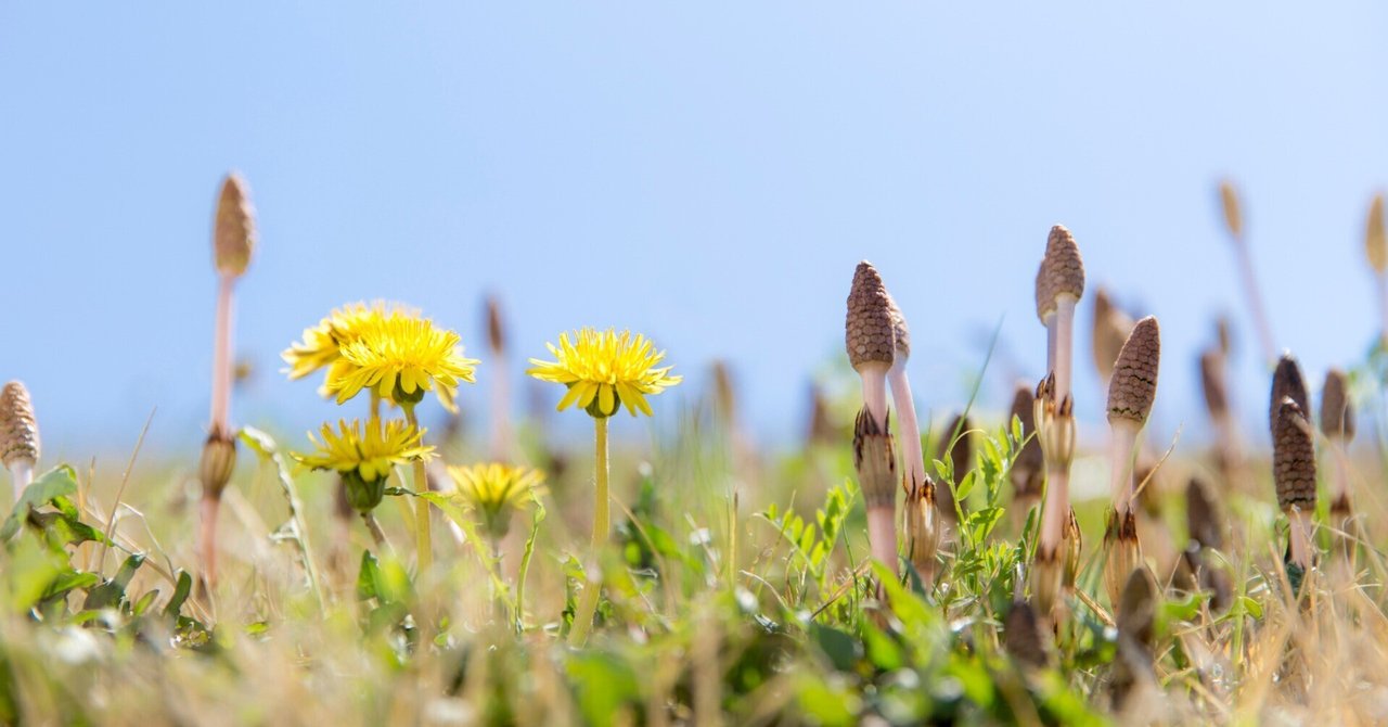 2023年新春 ｜Shio's ノート