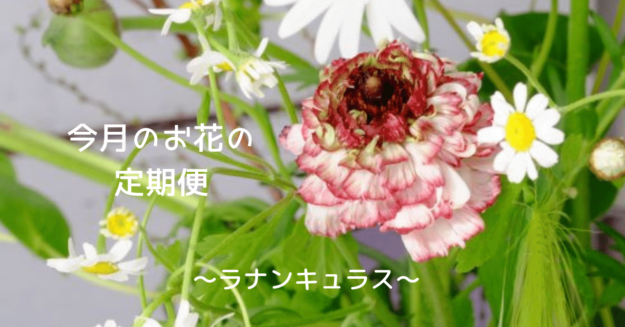 「誰かを想う時」｜tabito