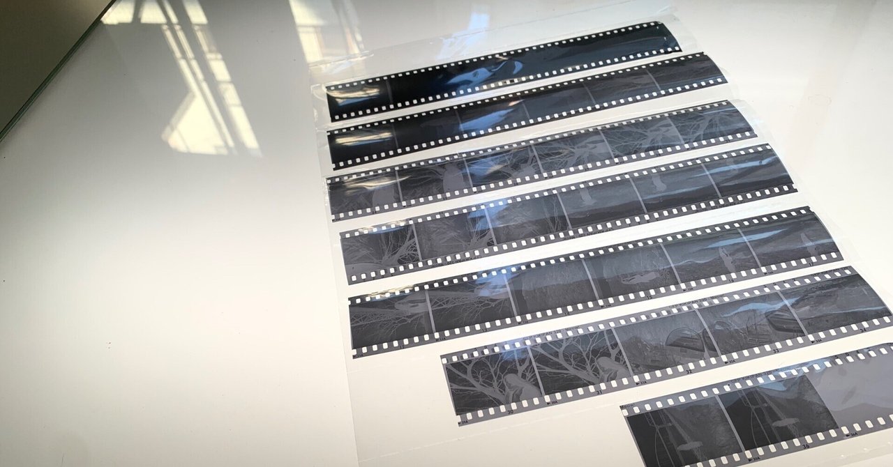 フィルム写真｜Junko Sakamoto｜note