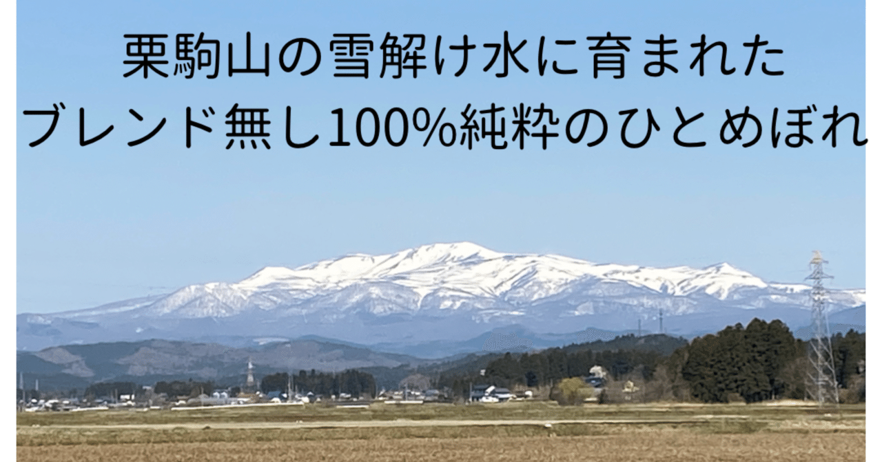 お米屋さん、はじめます｜Miwa｜note