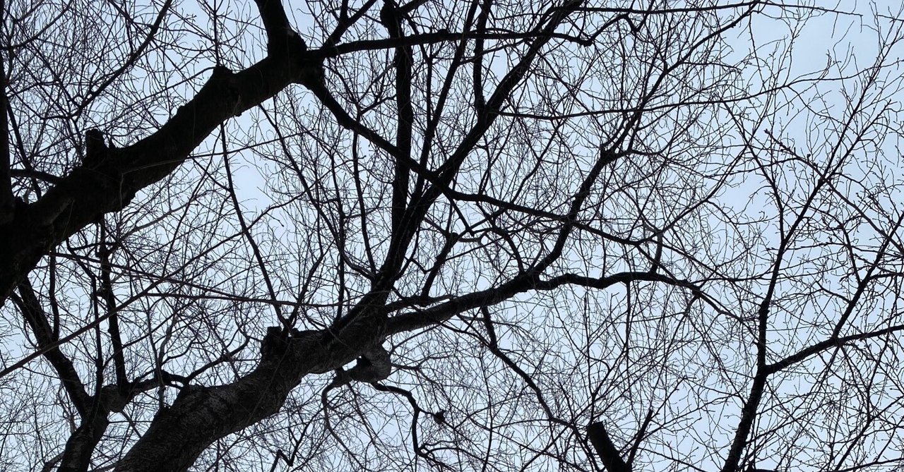 20230212｜たつきち