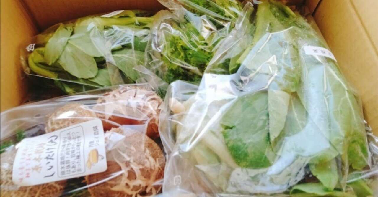 【自然農法食】購入先の丹波市ジェイ農園さんデス！｜☆フミコ★言靈ムスビ