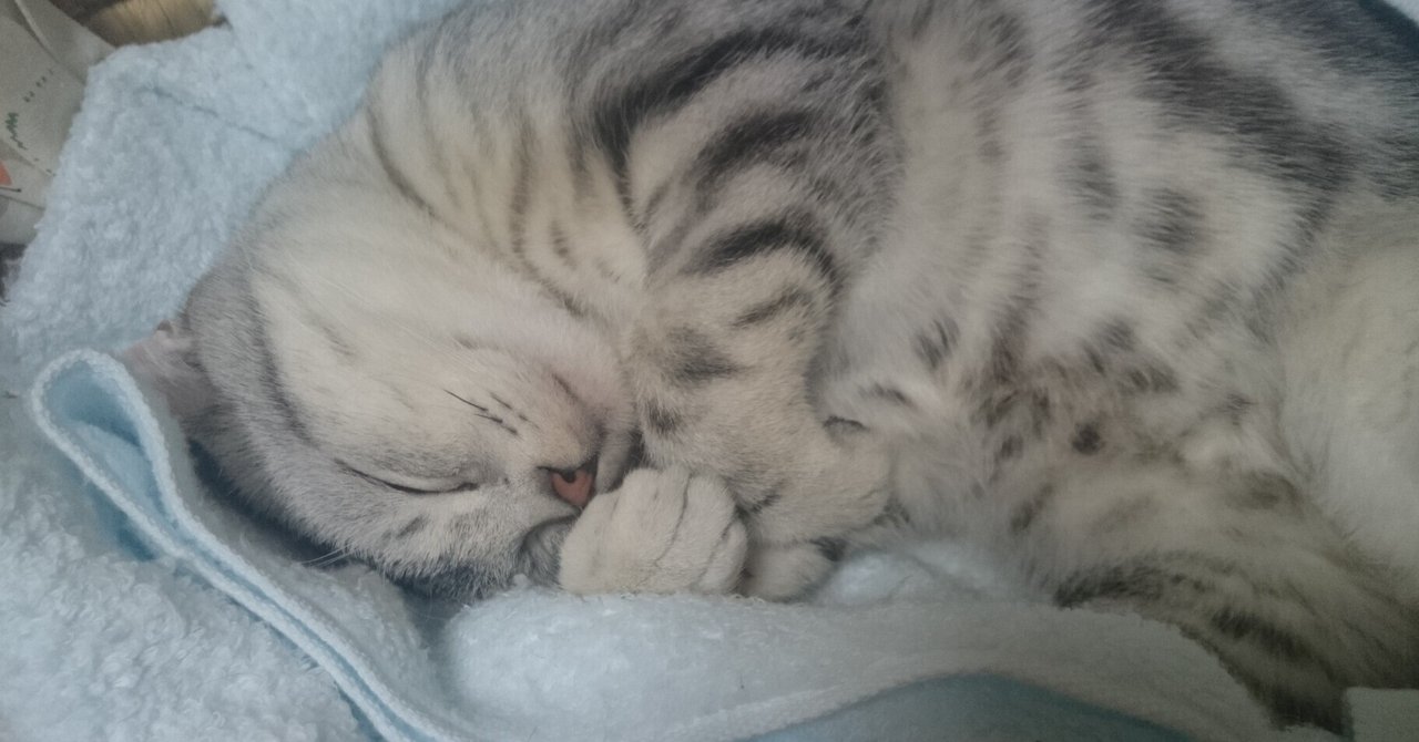 奇跡講座WB実践225 神は私の父であり、子は父を愛する｜(Linp&Ruru)本当の自分を知り、本当の自分として生きる｜note