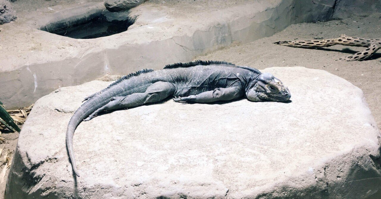 「自分を守る」｜Miho lily ｜note