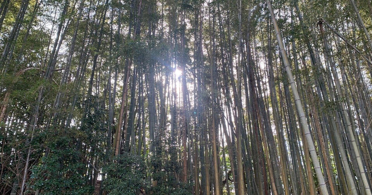 仲間たち｜ayaka.rose｜note