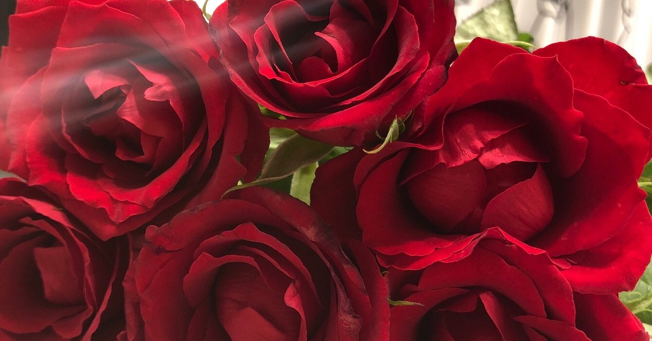 愛を贈る日｜ゆうゆう yu-yu｜note