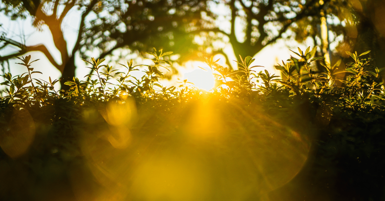 雑感｜Chiaki Yoshihiro｜note