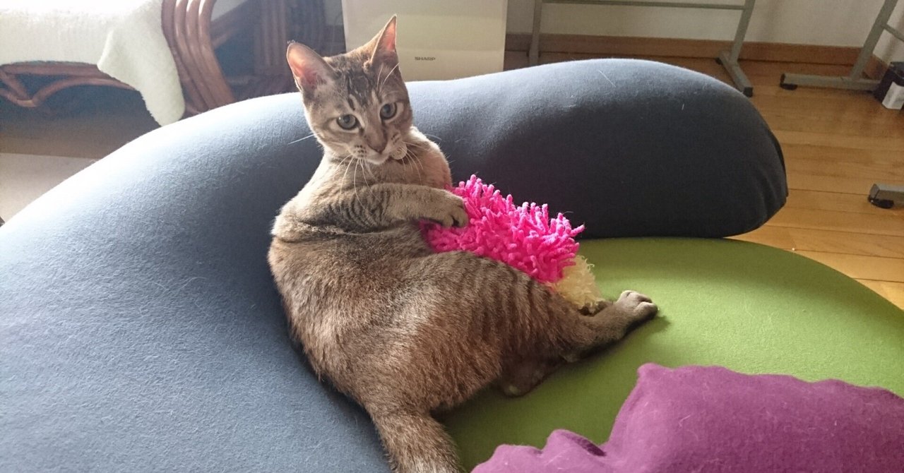 奇跡講座WB実践226 私の家が待っている｜(Linp&Ruru)本当の自分を知り、本当の自分として生きる｜note