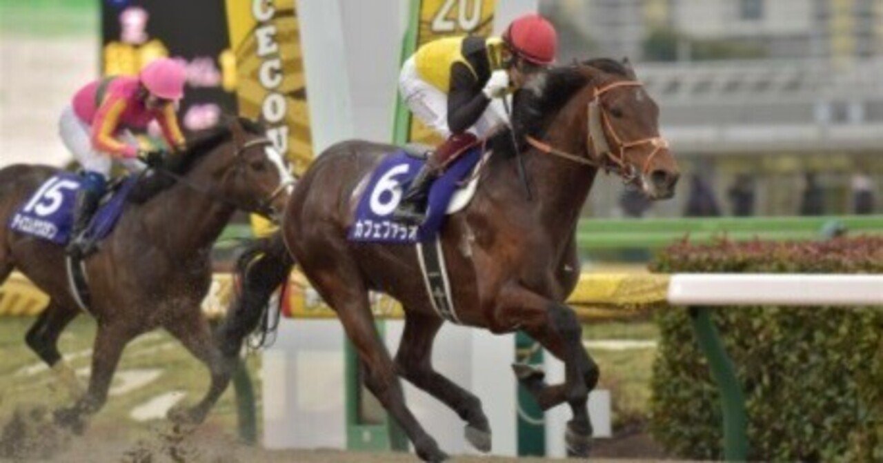 【2023 フェブラリーS（G1）】徹底的に攻略血統篇｜Haya