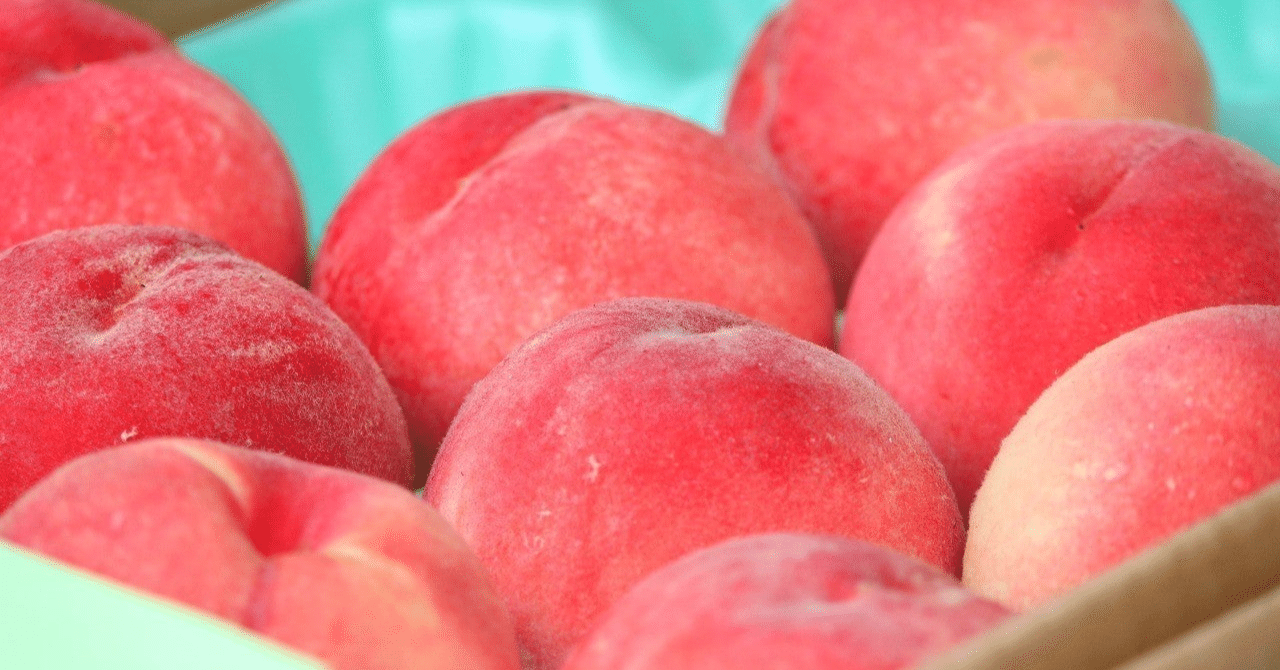 fesses rebondies(桃尻)｜Emika@Nihongo Blog