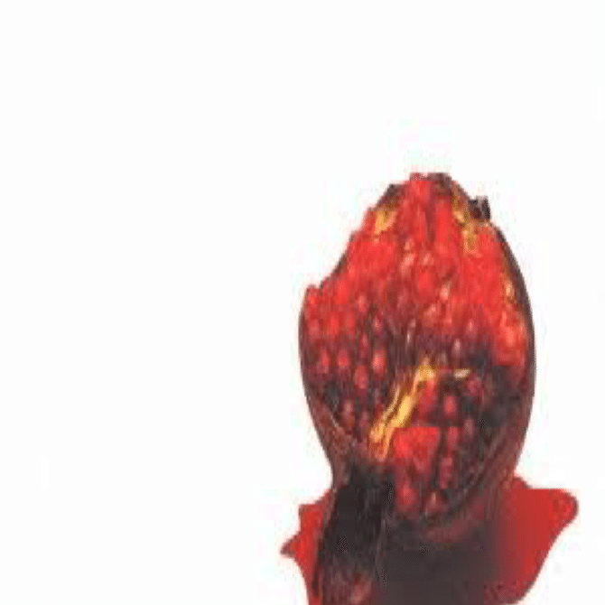 第十四回 SADS/SAD BLOOD ROCK'N'ROLL｜MASAYA