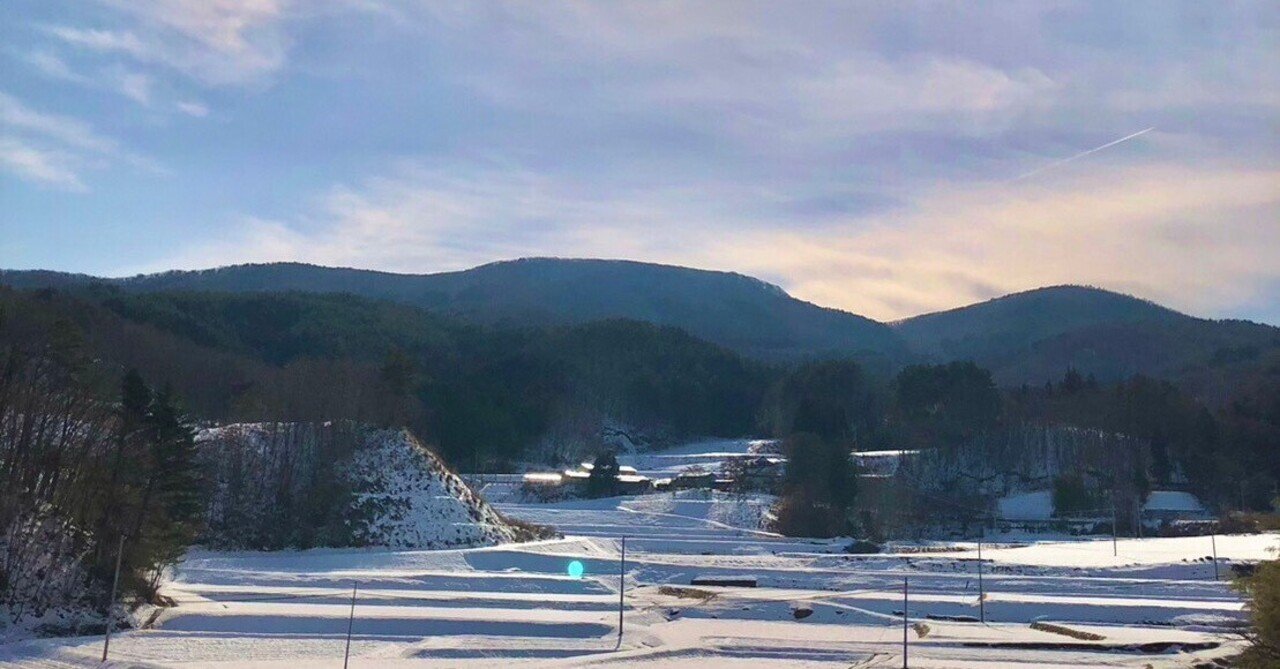 改めてわたしについて。｜Shiori｜note