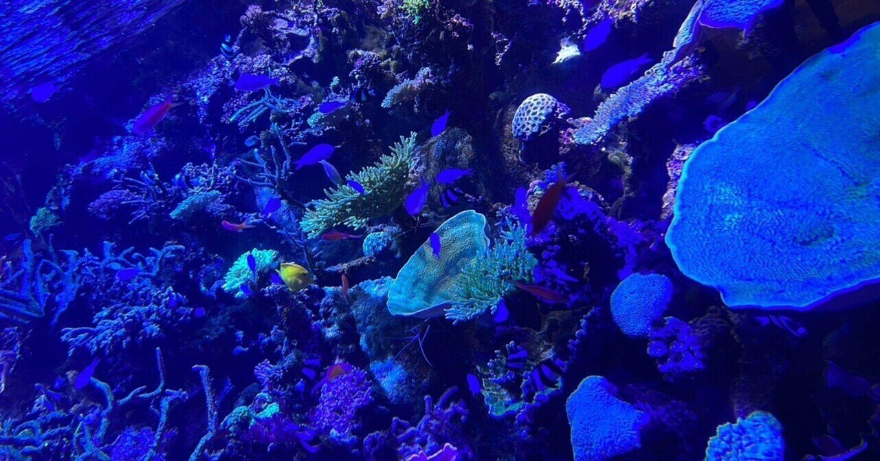 第3回EXPAオフ｜【神風ブログ】神威紗鳥