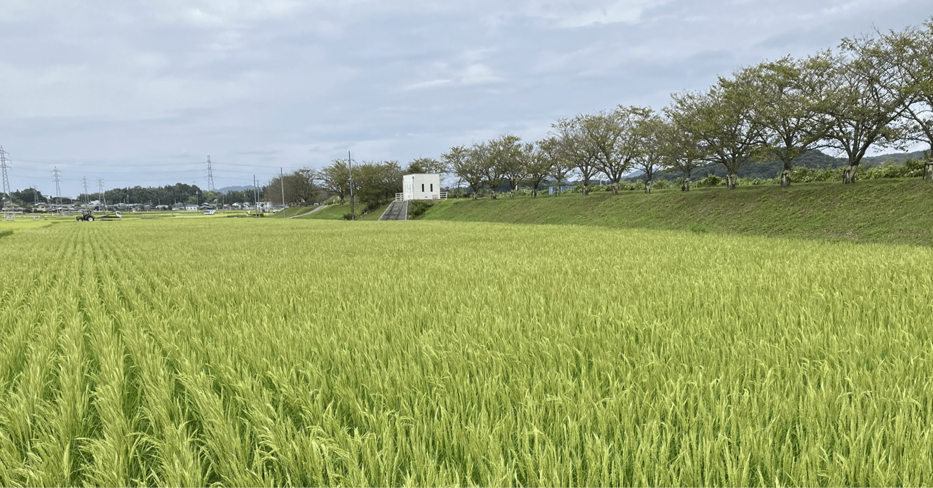 chisato ookado｜note