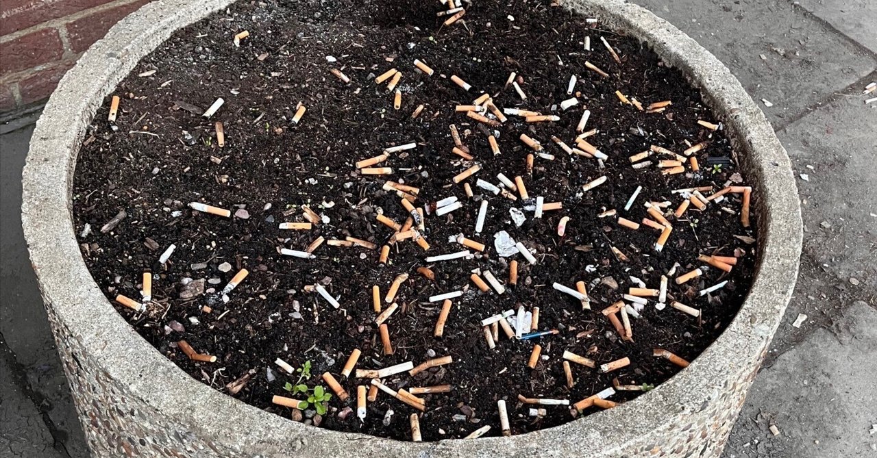 ロイコクロリディウム ｜Shun.Y｜note