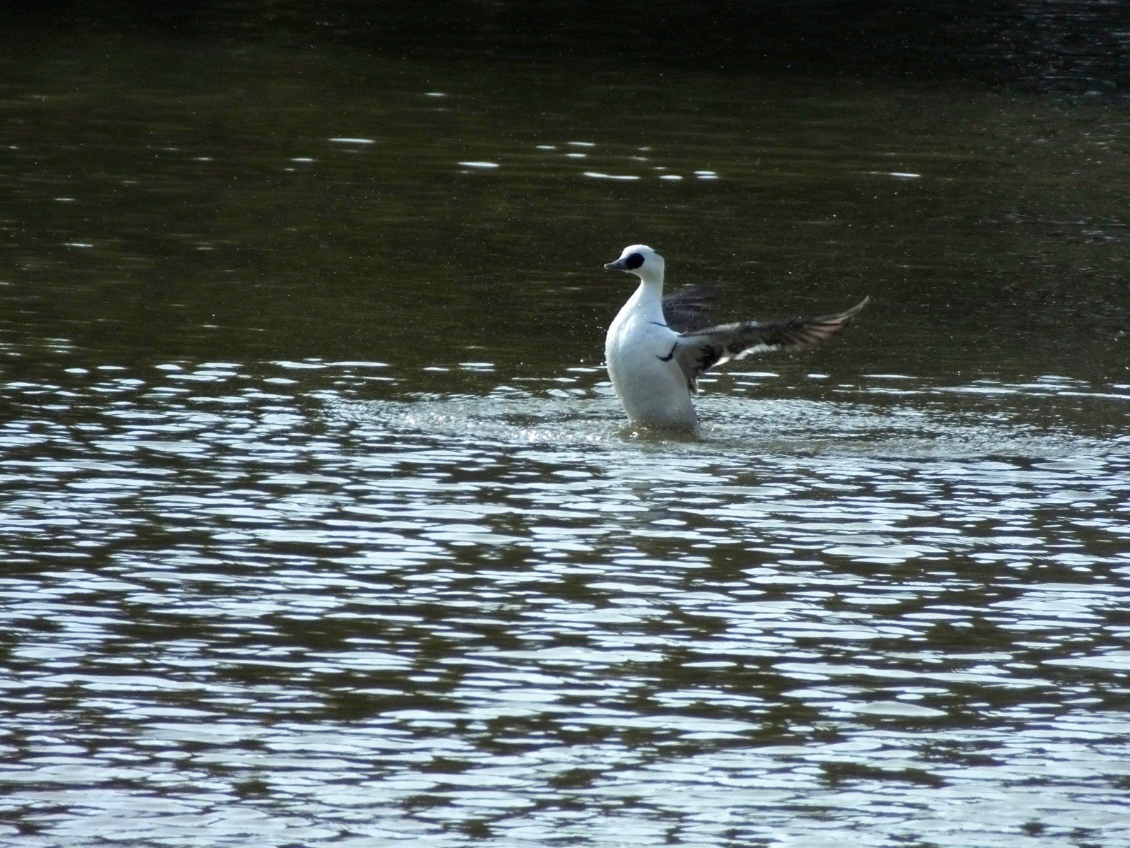 Nobuo Hayashi｜note