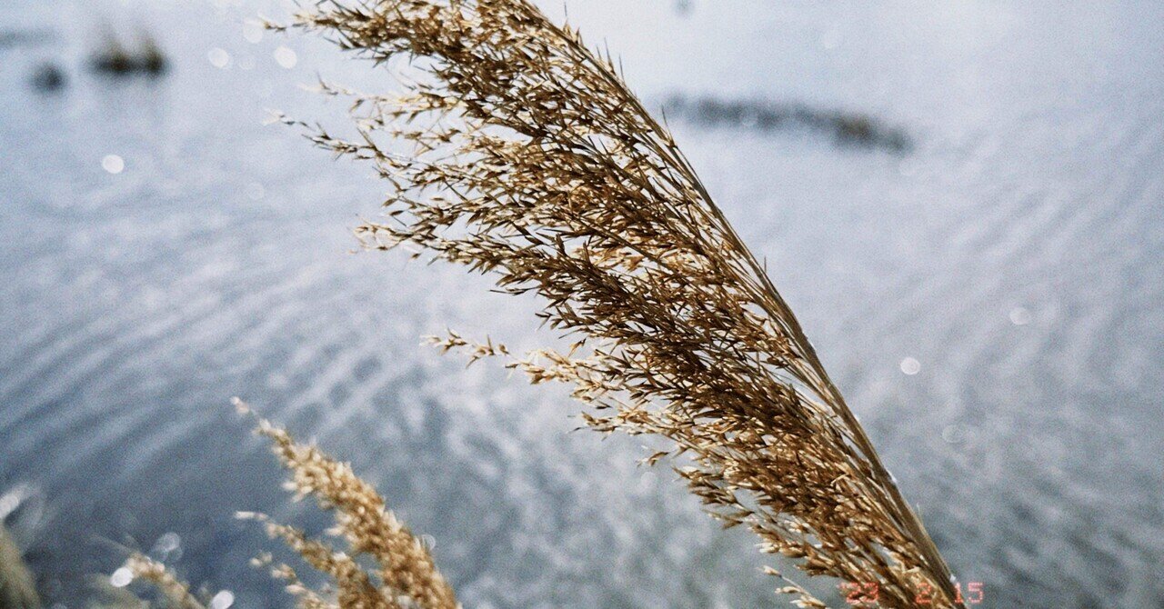 寒い、風が強い｜Kuronuma Kenichiro｜note