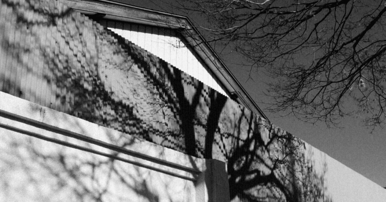 下仁田玉こんにゃく｜shinmr｜note