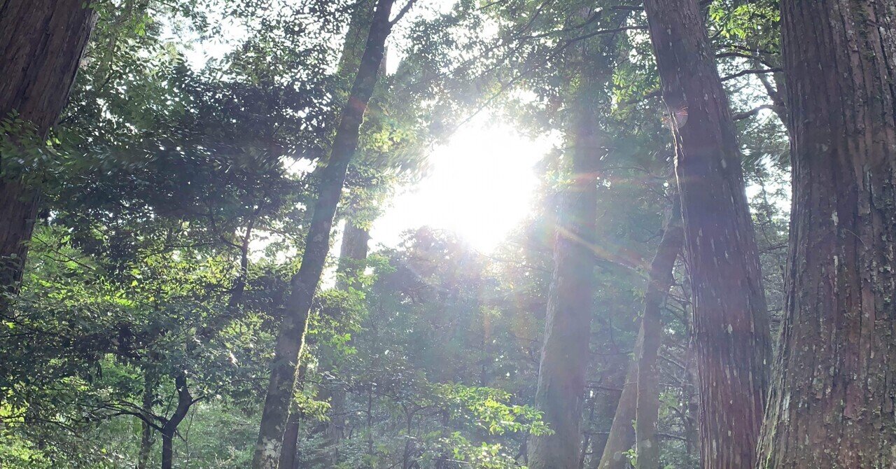 お母さんすごい！｜miho_miho｜note