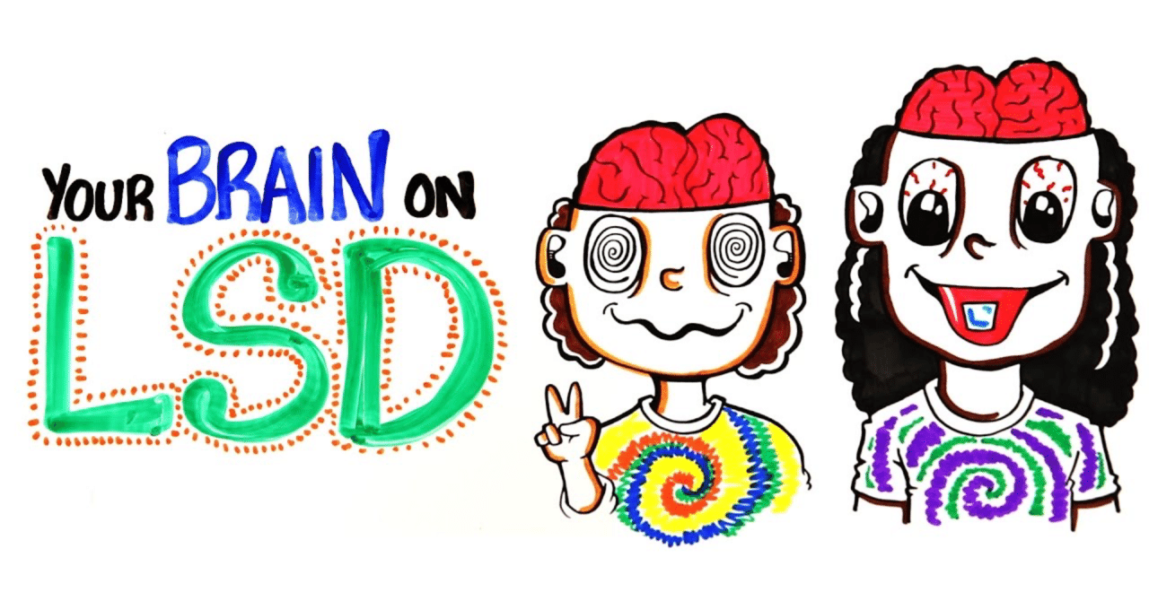 Your Brain on LSD【AsapSCIENCE】｜弥勒｜note