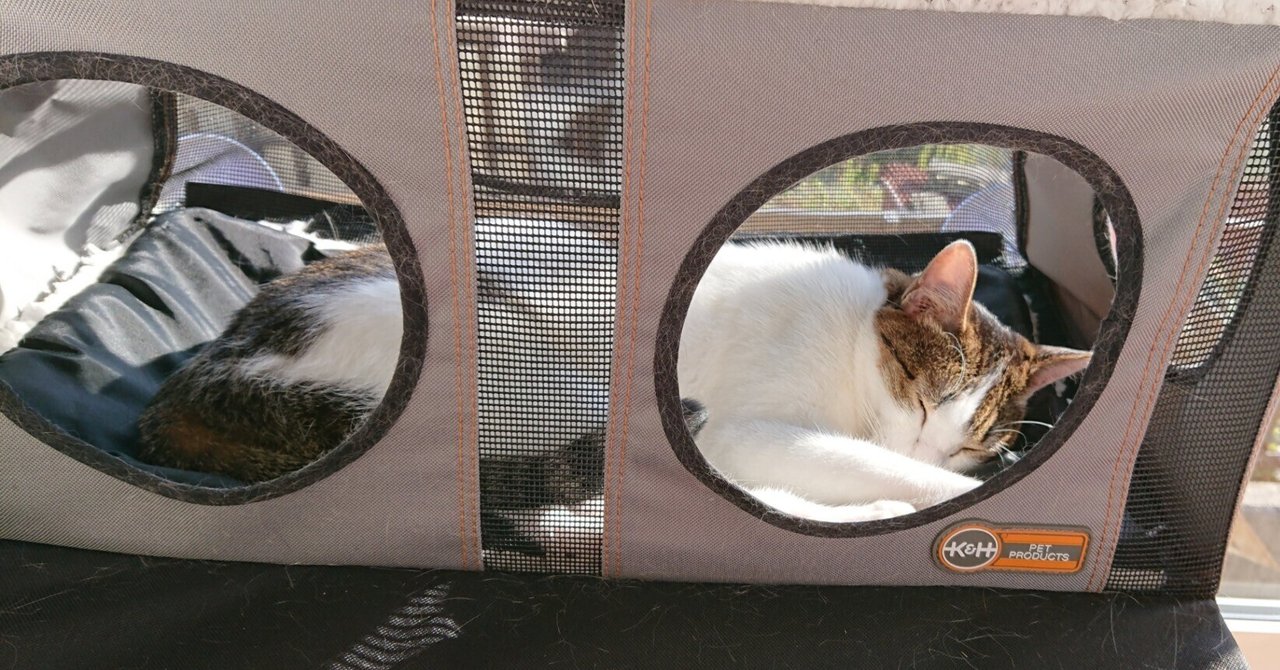 奇跡講座WB実践228 神は私を咎めなかった｜(Linp&Ruru)本当の自分を知り、本当の自分として生きる