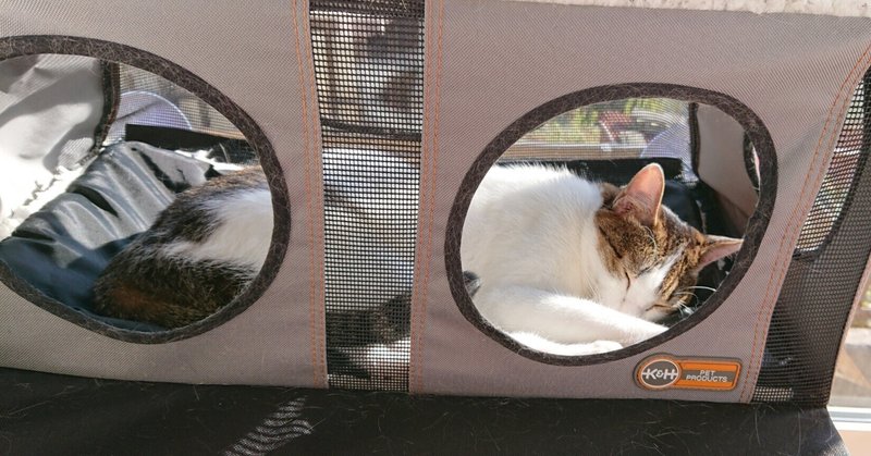 奇跡講座WB実践228 神は私を咎めなかった｜(Linp&Ruru)本当の自分を知り、本当の自分として生きる｜note