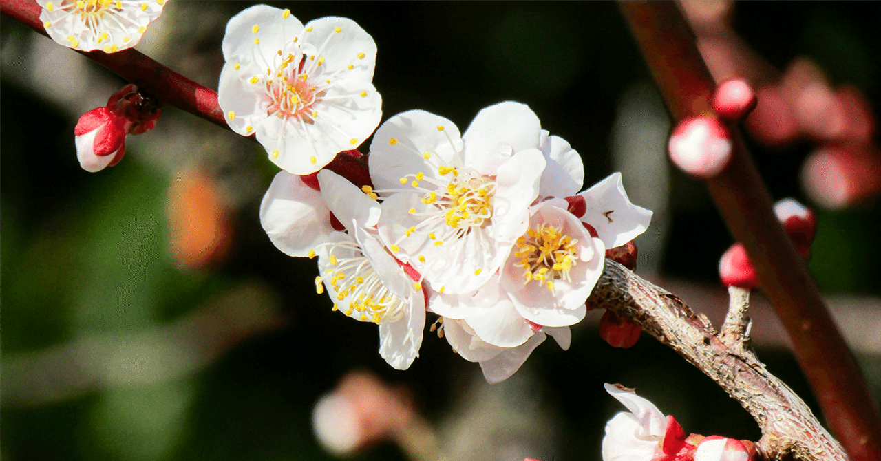 ヒアリング｜大切にしていること｜teaspooon｜Web・EC・HP・SNS等10年以上の経験者がサポート