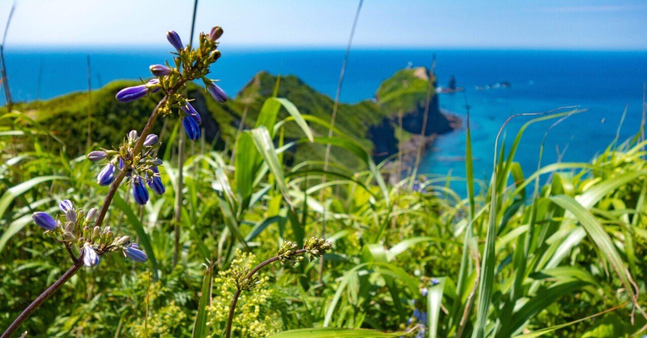 CO2排出量可視化サービスe-dashと北海道経済連合会が道内企業の脱炭素化に向け連携｜海のイドバタ会議 / Ocean Evangelist 守 雅彦