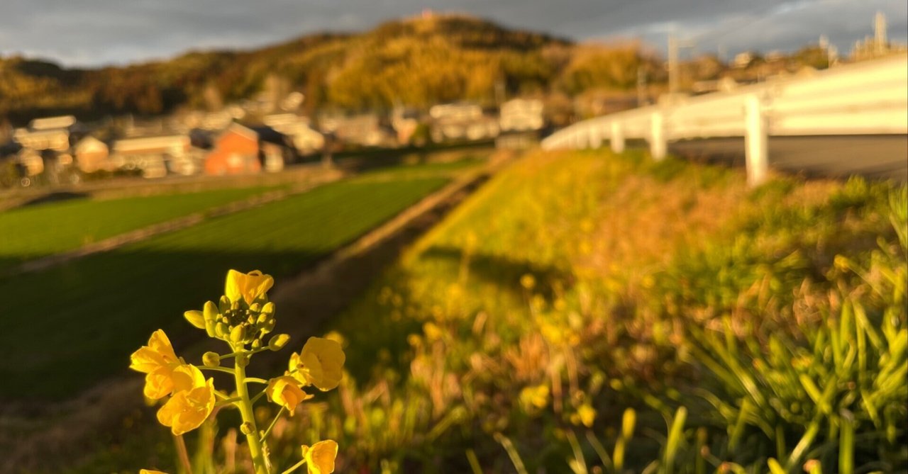 今できることを潰す＠プロット沼20230216thu237｜蒼井瀬名（Aoi sena）｜note