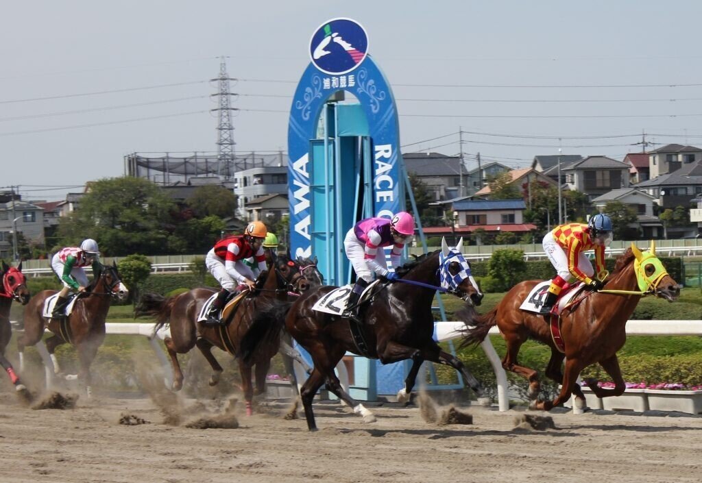 浦和競馬 第8R 複勝 7番 ジョーカイ 第11R 複勝 3番 ジュネス｜GAMERA777