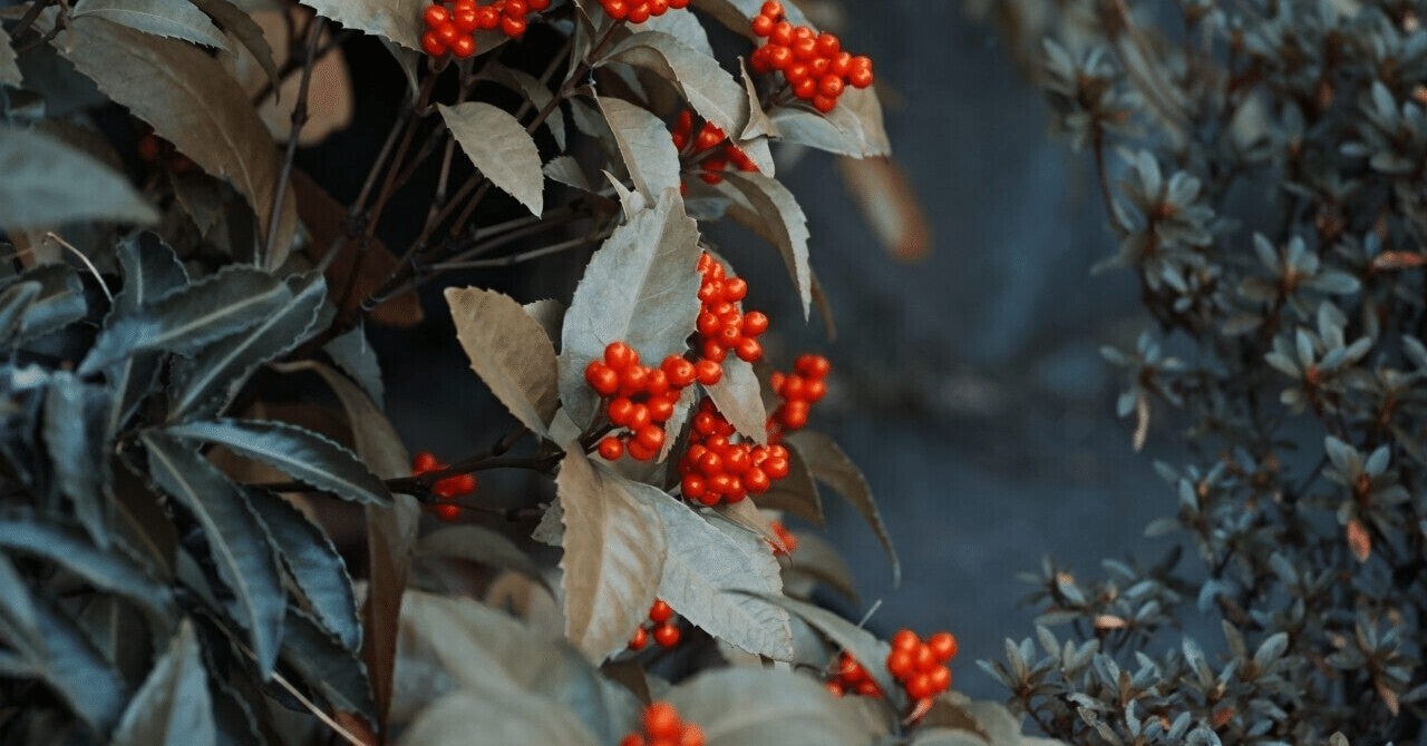 精神の鍛え方（上級）｜YURA｜note