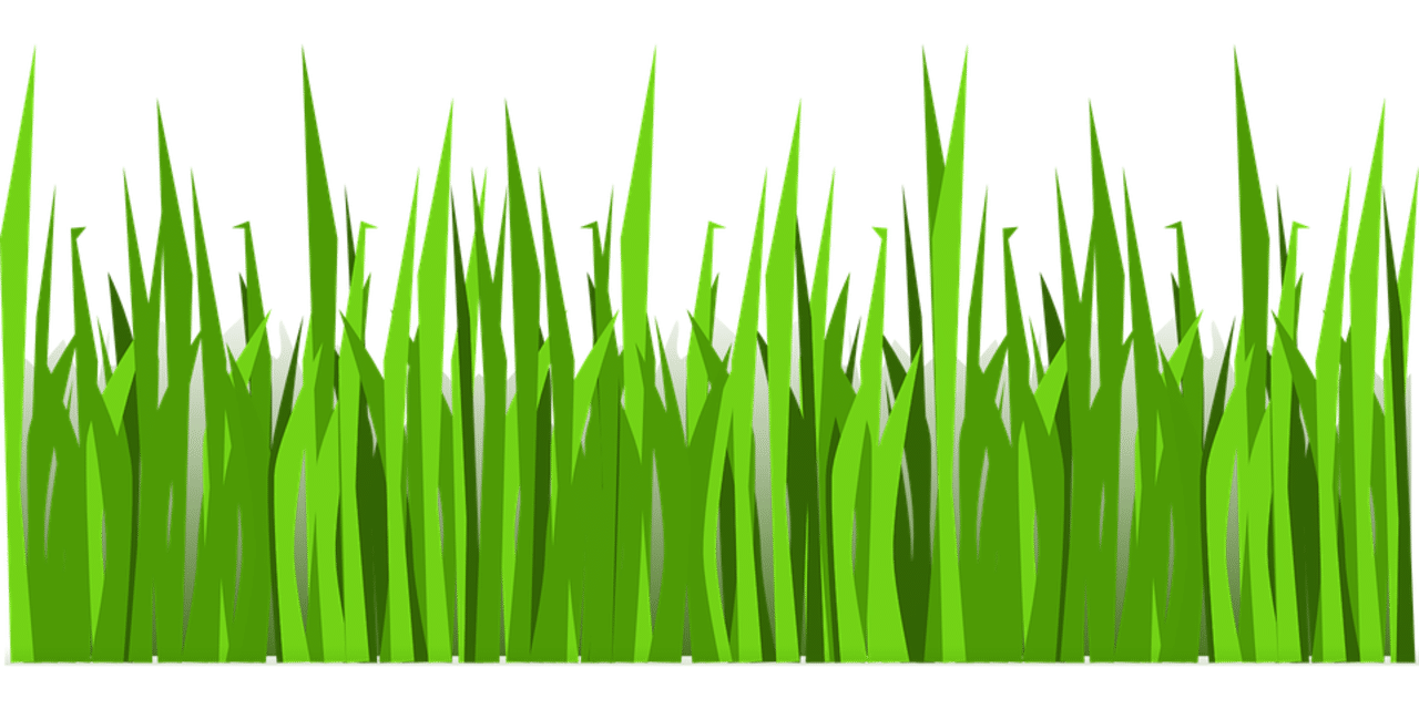 ウシvsヒト どっちがグルメ！？｜taichi imamura