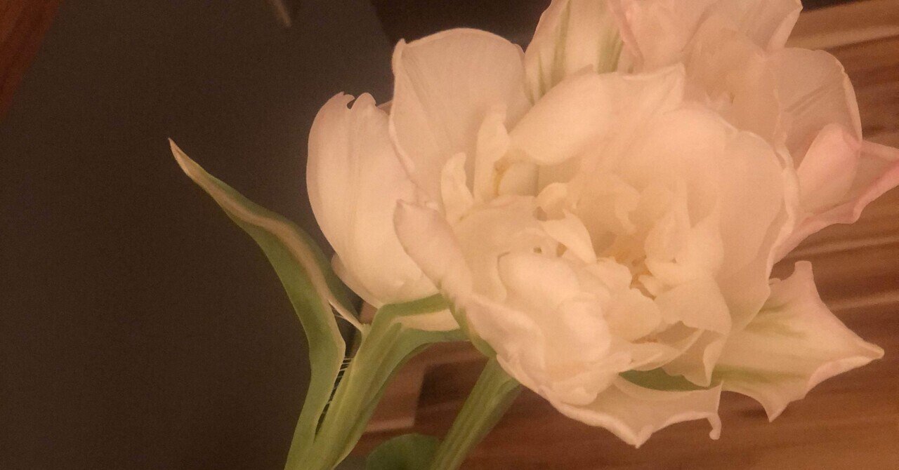 【20230217】1.人生ではじめてのCM撮影｜みつお