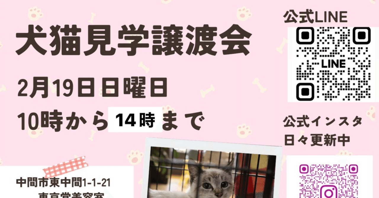 NPO法人アニマルホームOhana｜note