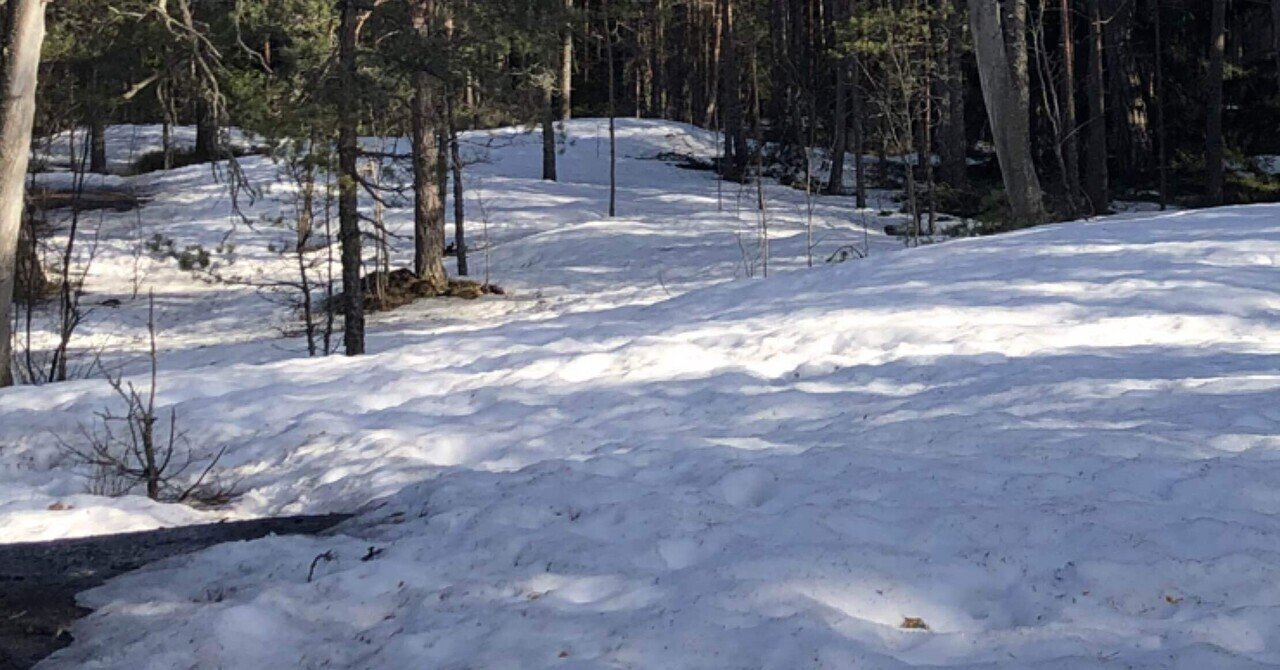 ロンドン生活149日目｜木漏れ日の英語訳｜mitsuki.｜note