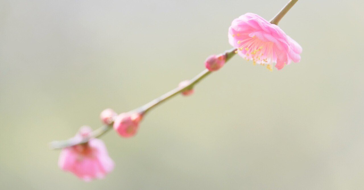 feel spring in the air｜*michi*｜note