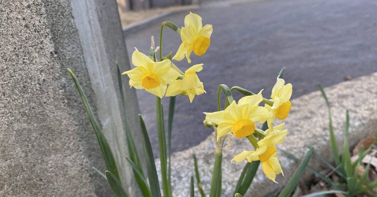 今年初の俳句7つ｜之哲／Yuki Satoru｜note