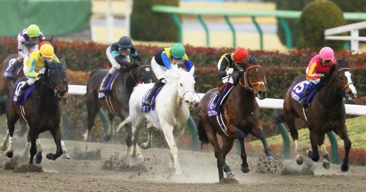 2023/02/19 WIN5予想 ｜ほんまぐろ｜note