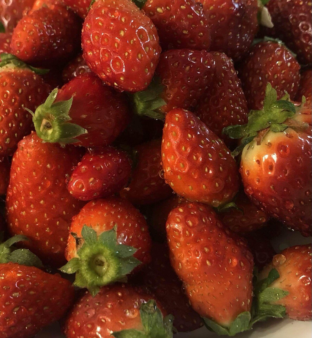 いちご｜Hisao Tsujimura