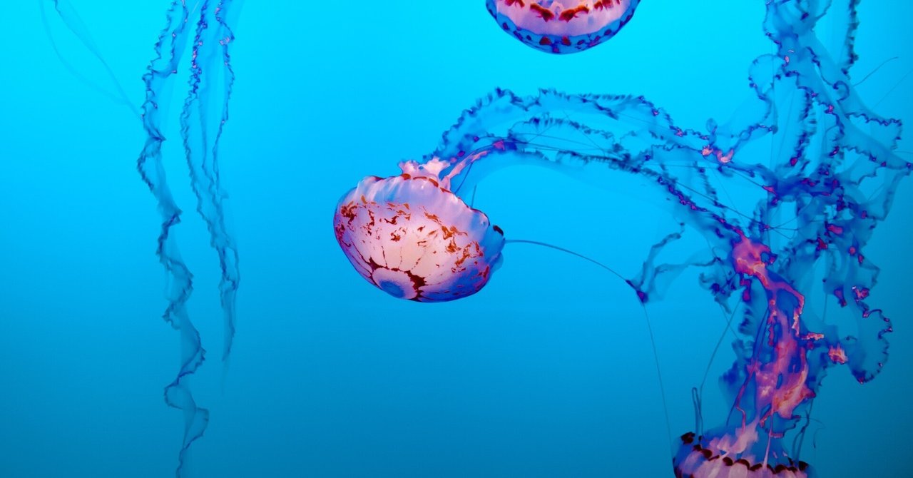 Rails-CarrierWaveの画像アップロード機能を設置｜凸凹のひとりごと｜note