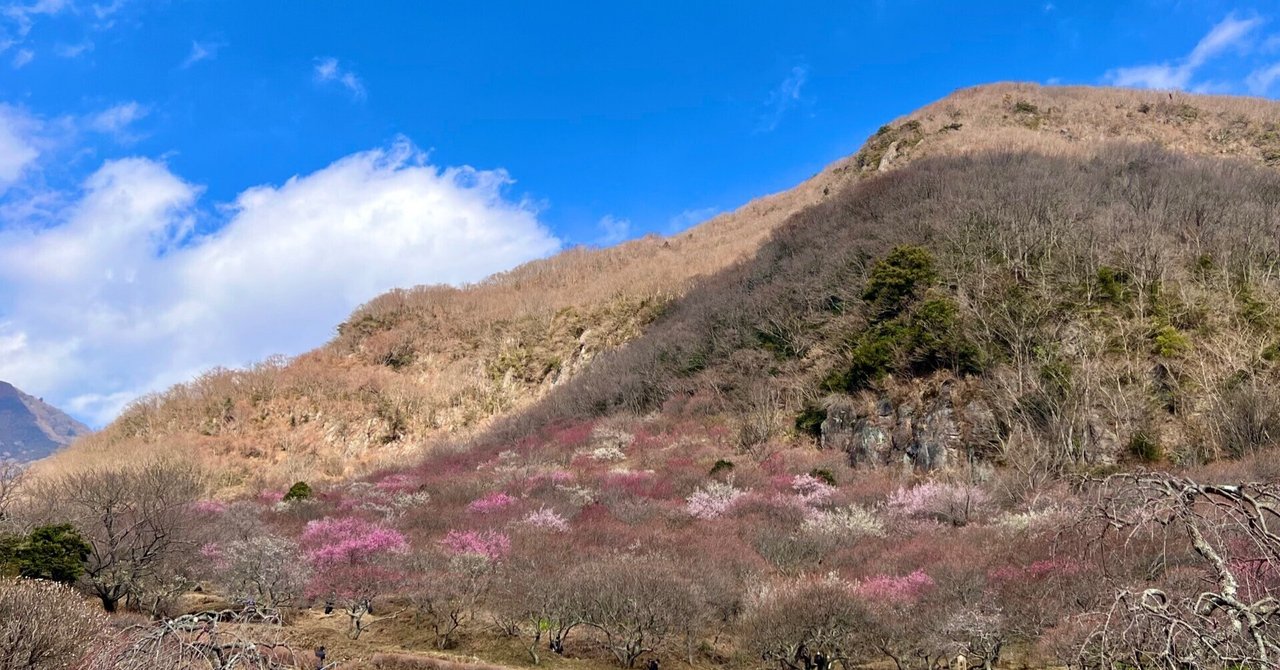【リトリートとは】20230219 今週の振り返り - KPTを利用して｜いしまるゆき｜note