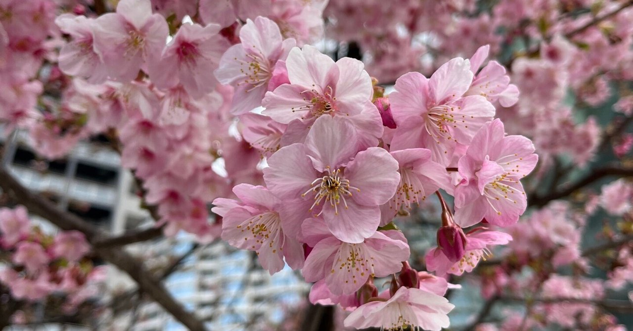 日記：20230219｜まぐりふ｜note