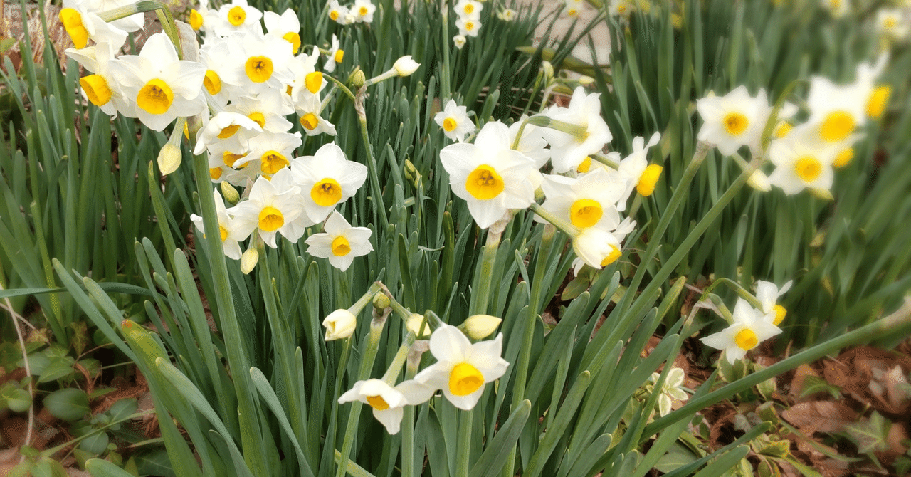 PowerShell ubuntu｜blue06_2022｜note