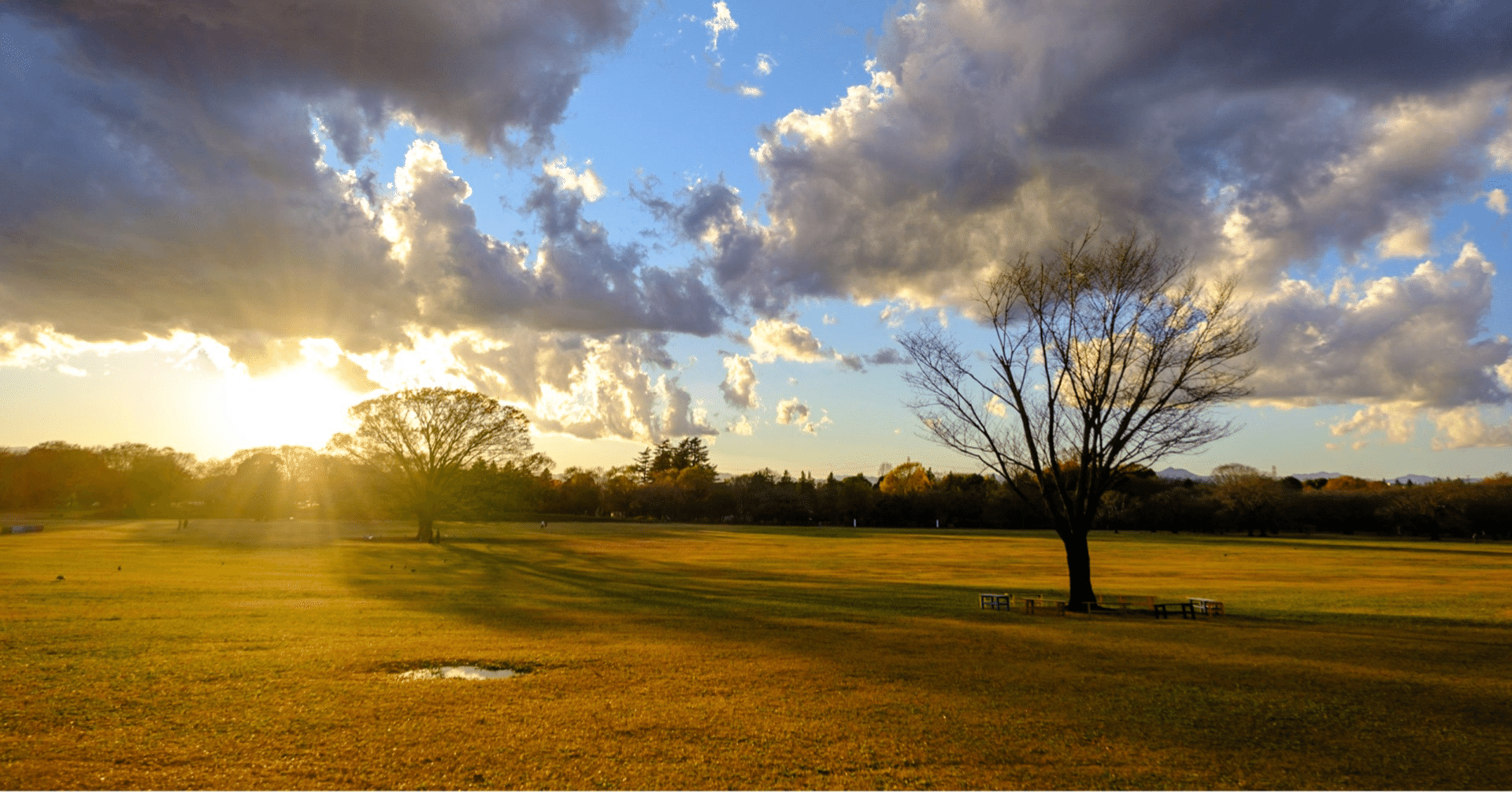 Nehira｜ Photowalker｜note