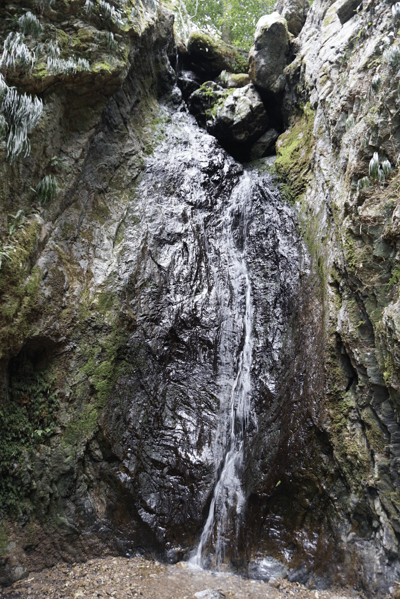 【1泊2日・1日目】こだわりを、捨てる｜Jun@SHElikes｜note