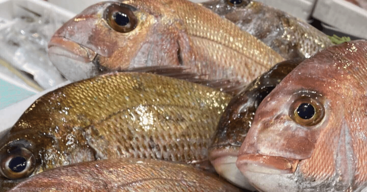 「UUUO importer」をリリース産直鮮魚を海外で簡単に受け取り、第一弾は東南アジアへ｜海のイドバタ会議 / Ocean ...