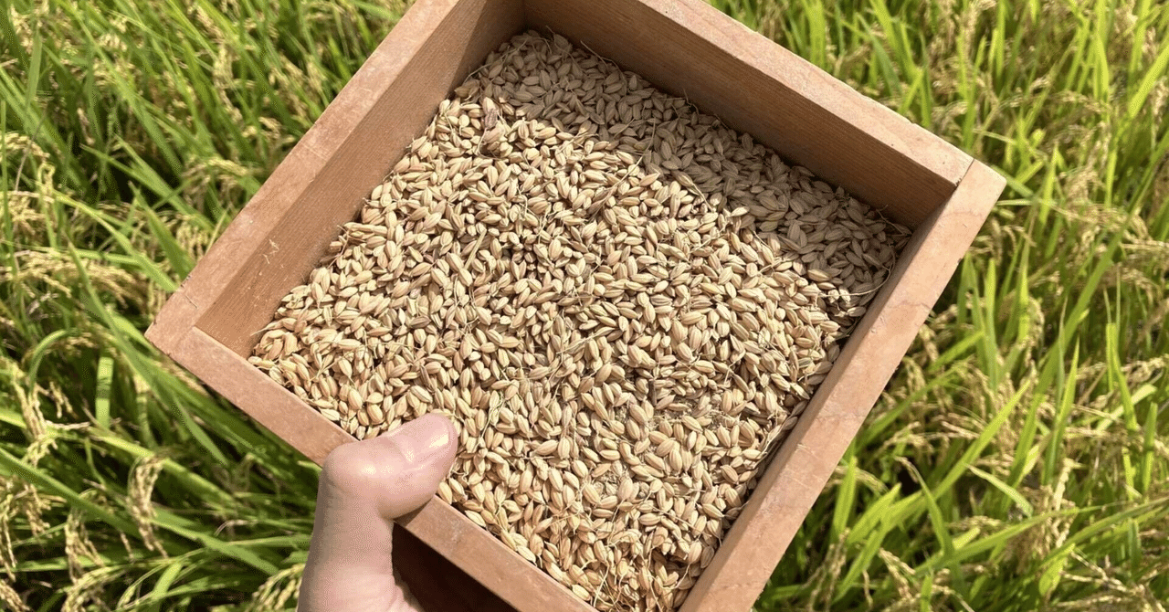 玄米｜河野友希子｜KAWANO YUKIKO🌷｜note