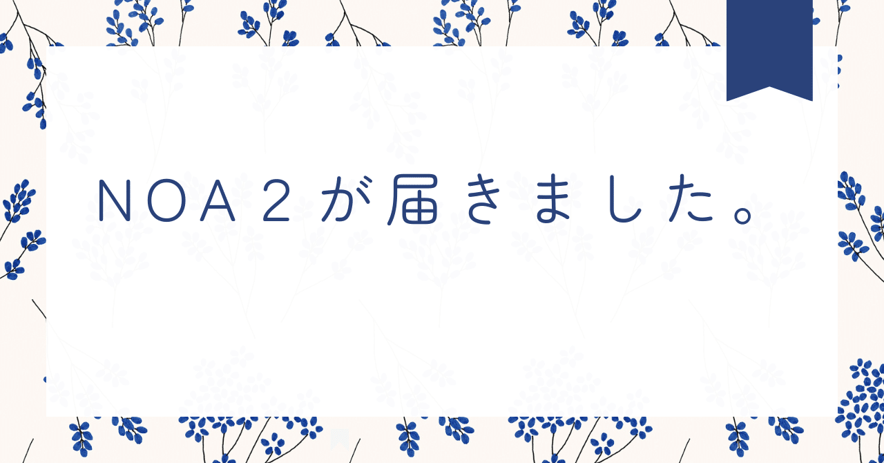 NOA2が届きました｜R