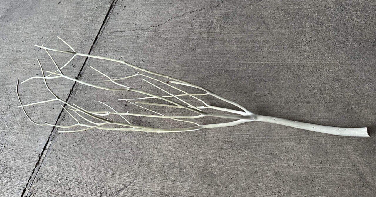 三椏の芯｜Tact Masuda｜note